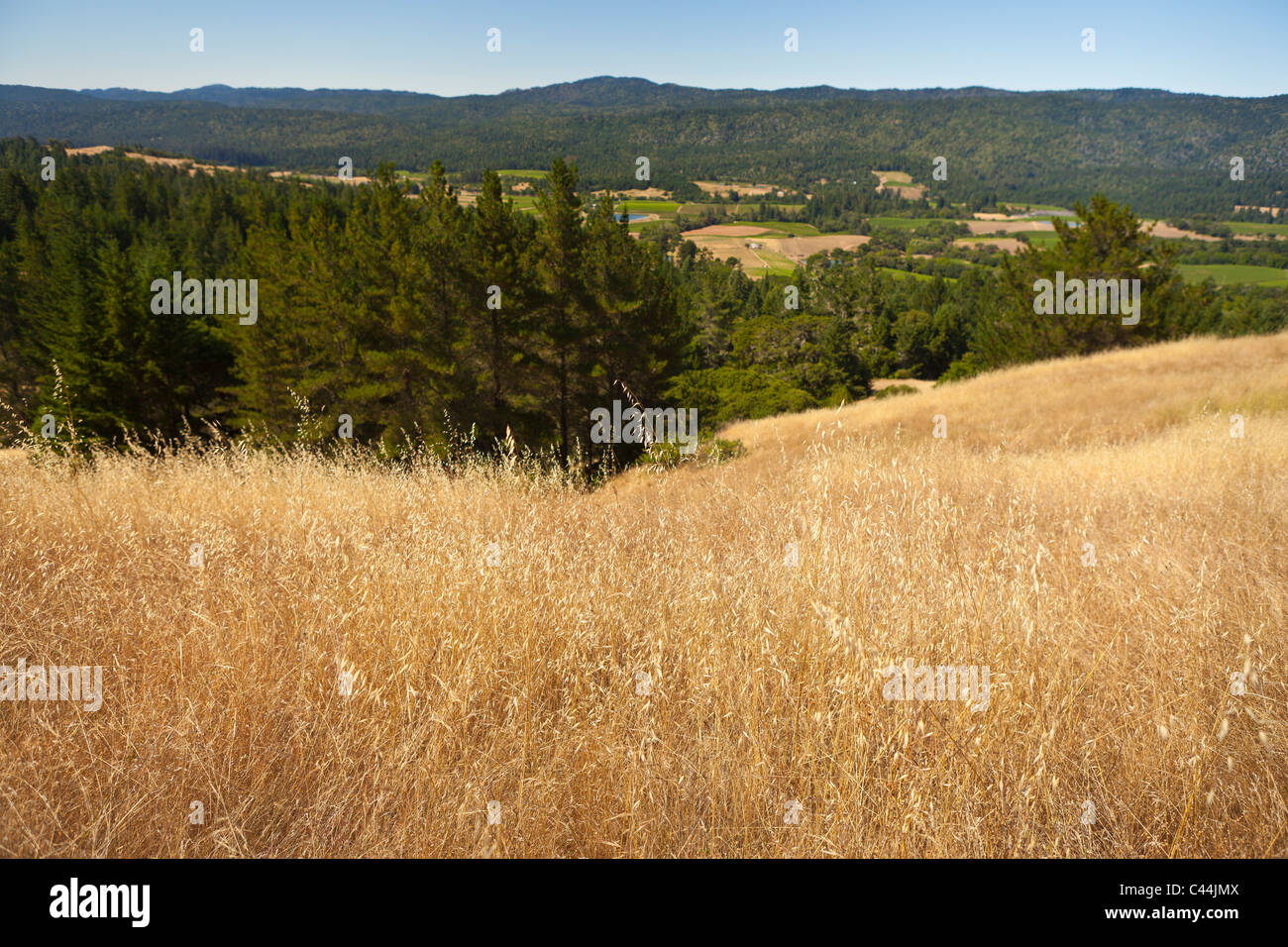 North california landscape hi-res stock photography and images - Alamy