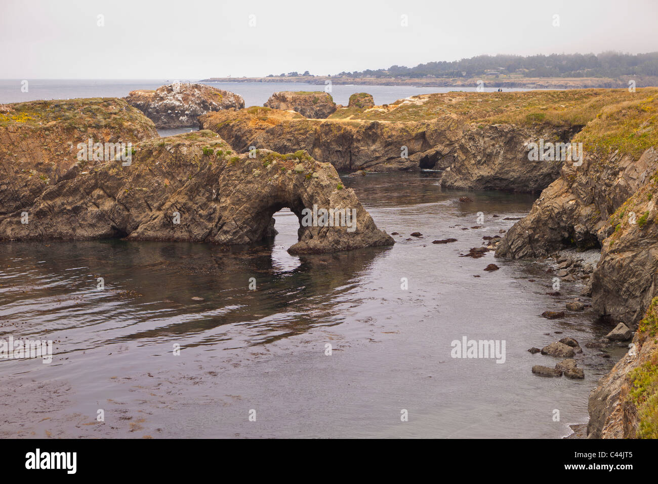 MENDOCINO, CALIFORNIA, USA -Rock formations on the Pacific coast ...