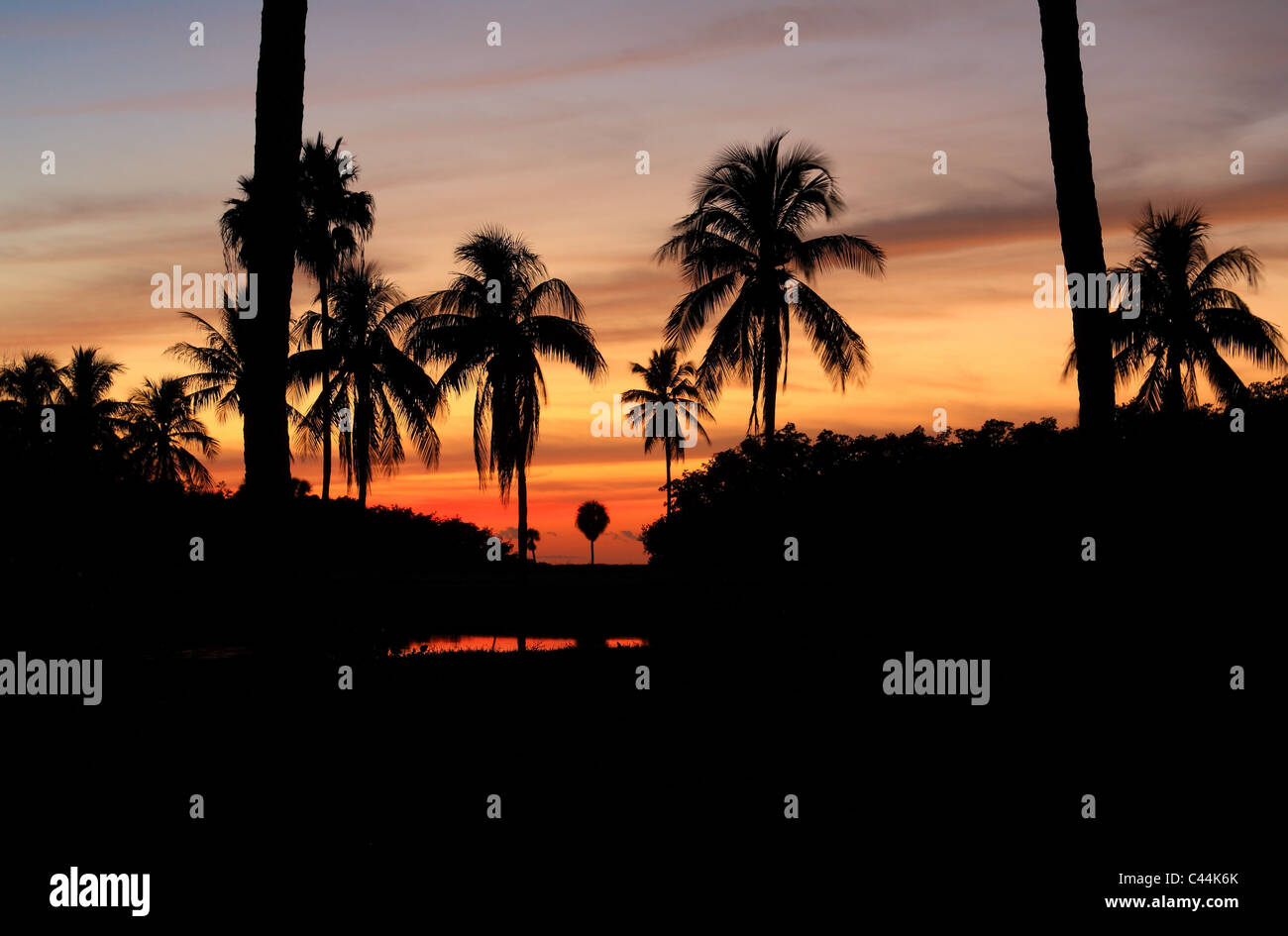 Biscayne bay sunset hi-res stock photography and images - Alamy