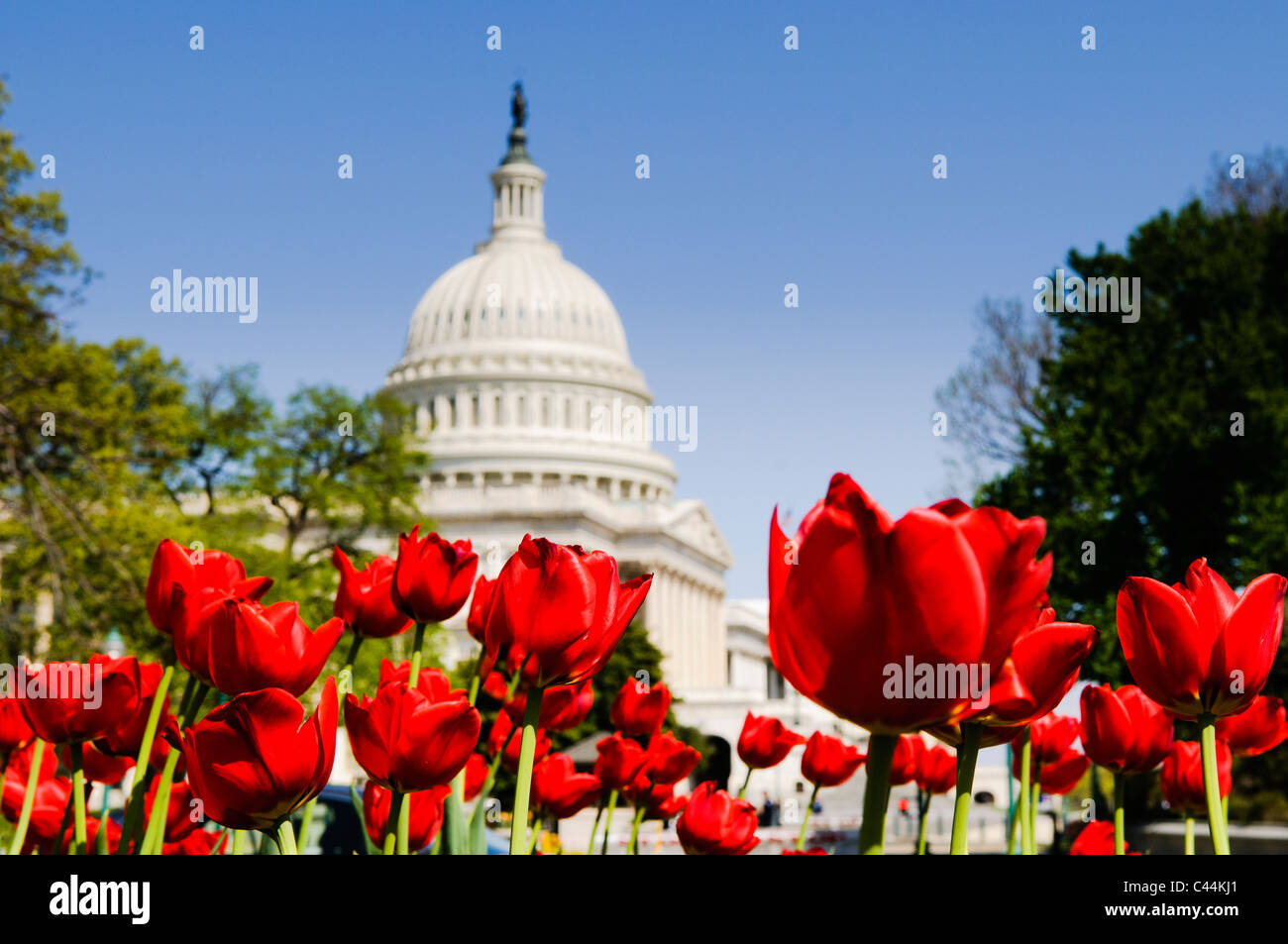 Washington dc iconic spring scenery hi-res stock photography and images ...