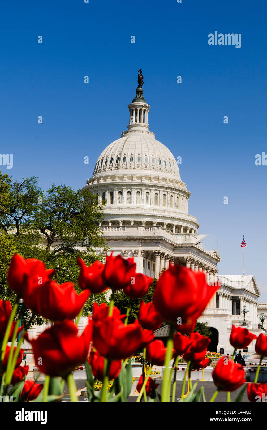 Washington dc floral display hi-res stock photography and images - Alamy