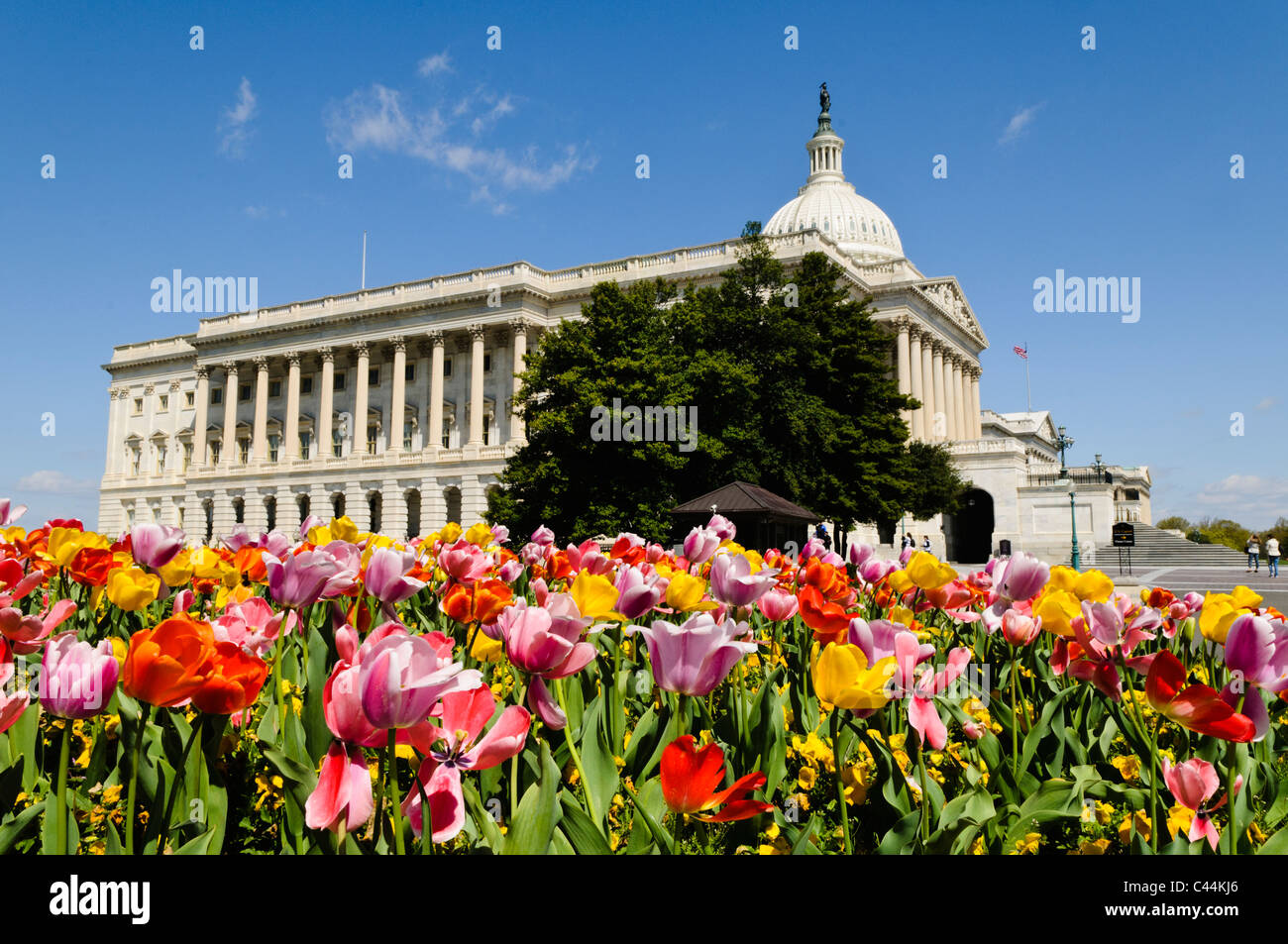 Washington dc iconic spring scenery hi-res stock photography and images ...