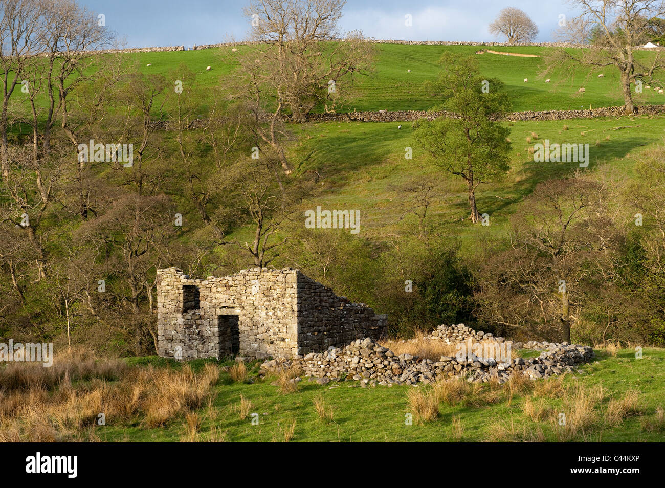 Derelict barn hi-res stock photography and images - Alamy