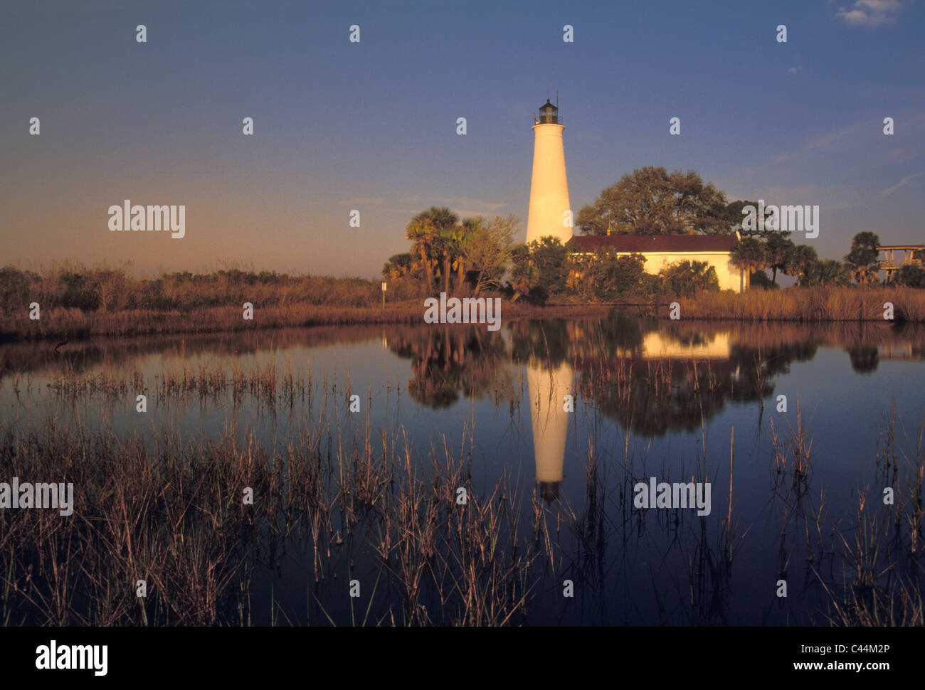 St marks river florida hi-res stock photography and images - Alamy