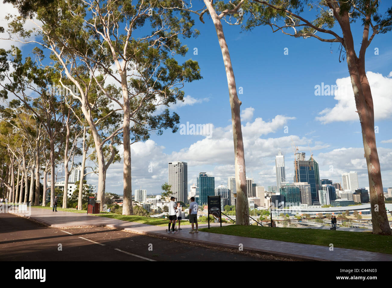 View of city skyline from Kings Park. Perth, Western Australia ...