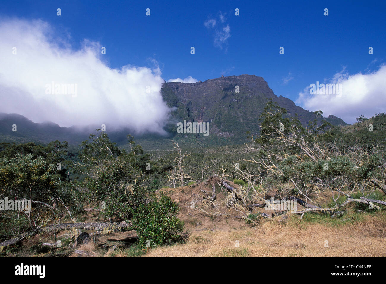 Indian, ocean, La Reunion, nature, scenery, Cirque de Mafate Stock ...