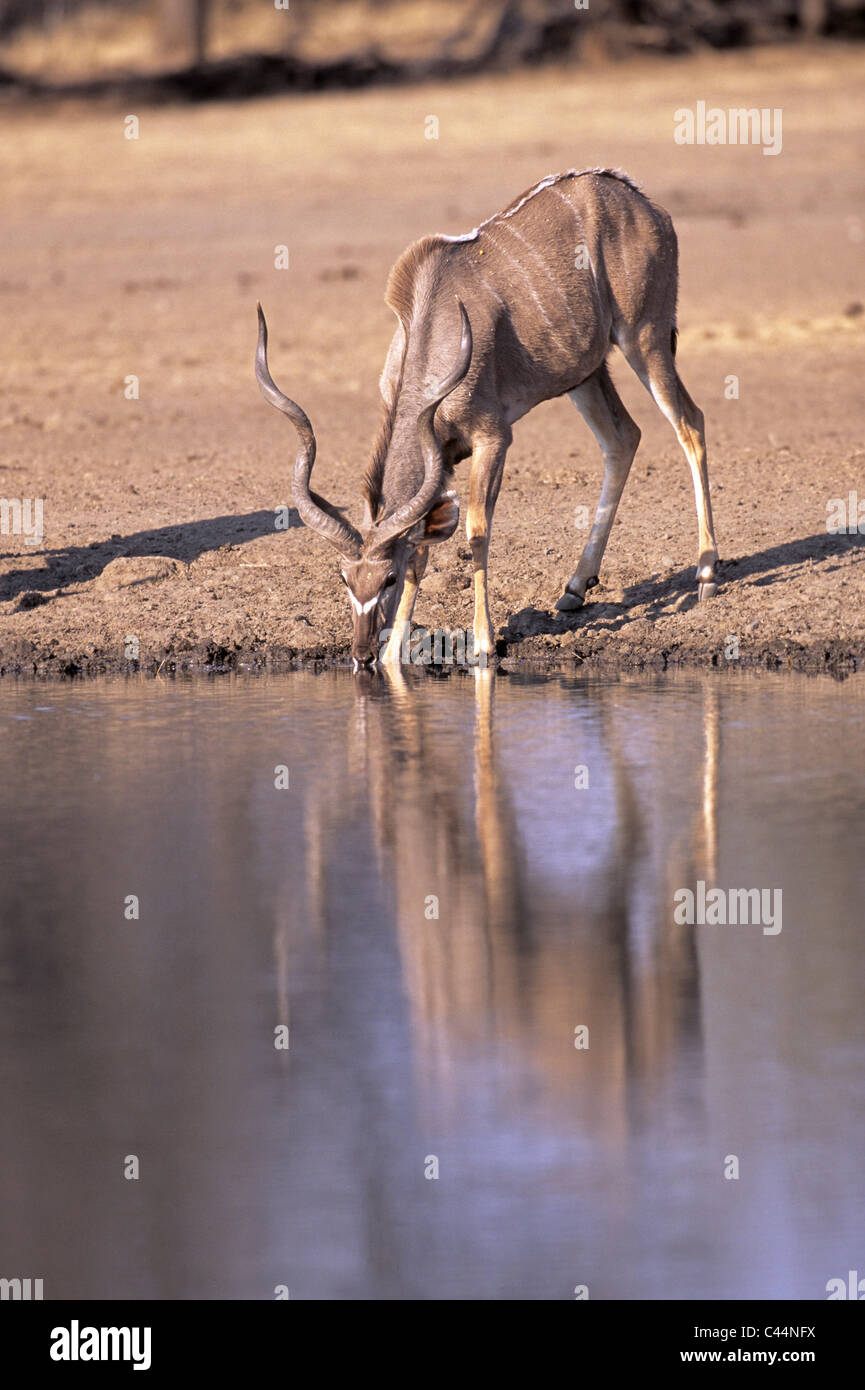 Kalkfeld High Resolution Stock Photography and Images - Alamy
