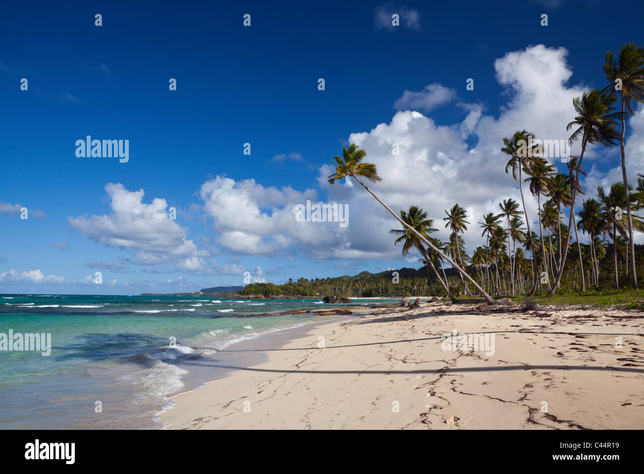 Rincon beach hi-res stock photography and images - Alamy