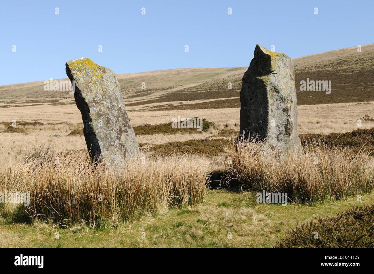 Meibion hi-res stock photography and images - Alamy