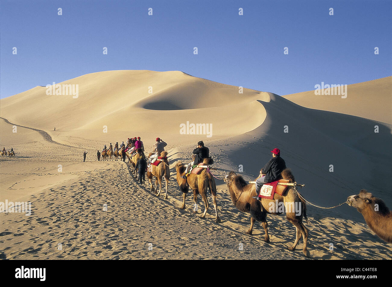Asia, Camel, Camels, China, Desert, Dune, Dunes, Dunhuang, Gansu ...