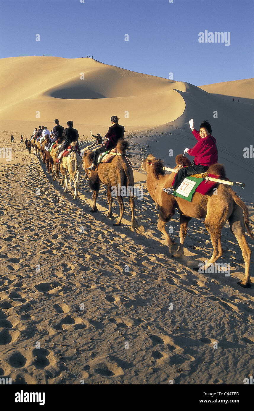 Asia, Camel, Camels, China, Desert, Dune, Dunes, Dunhuang, Gansu ...