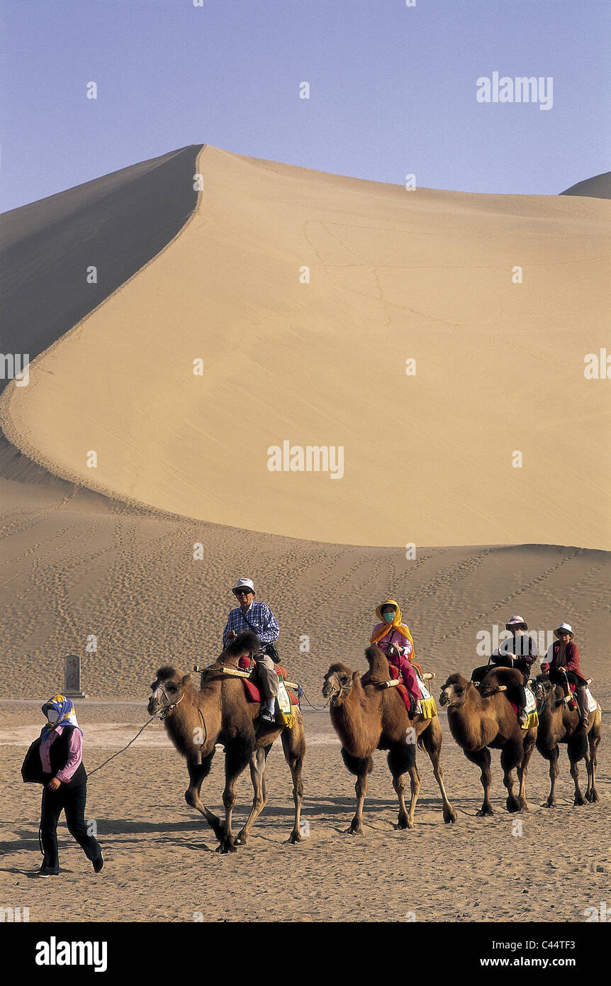 Asia, Camel, Camels, China, Desert, Dune, Dunes, Dunhuang, Gansu ...