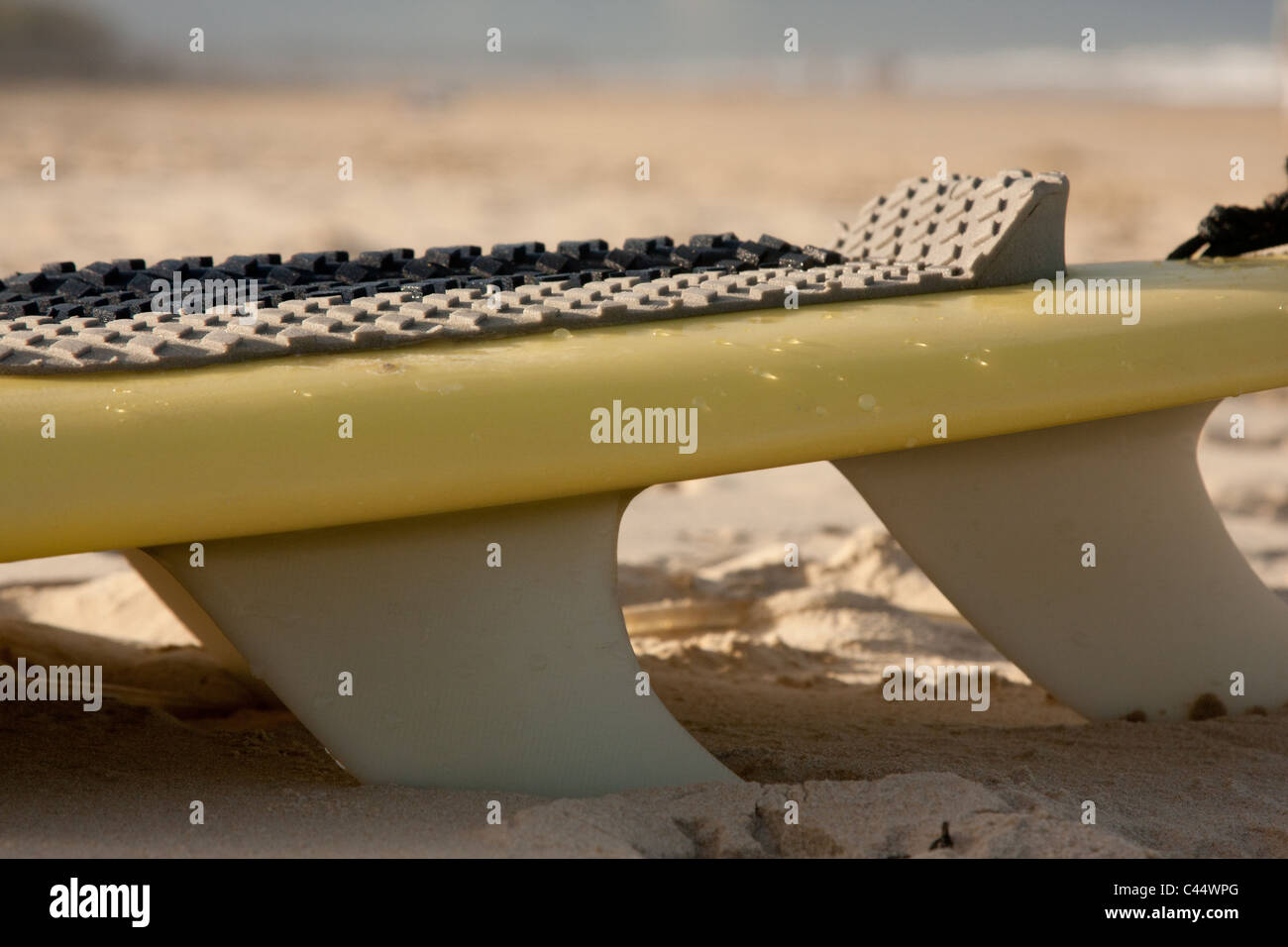 Surfboard Close up Stock Photo - Alamy