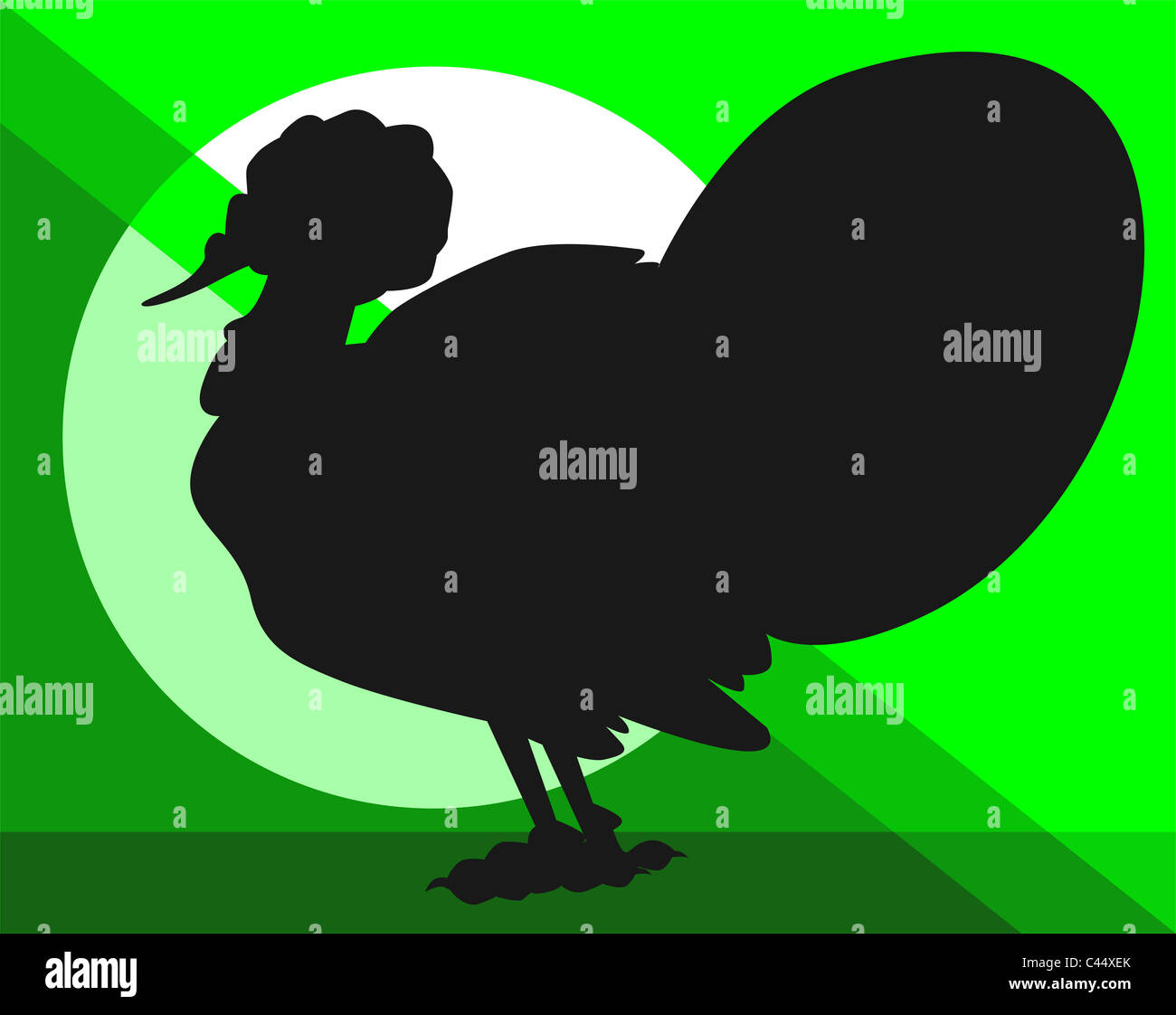 turkey fowl in green background Stock Photo - Alamy