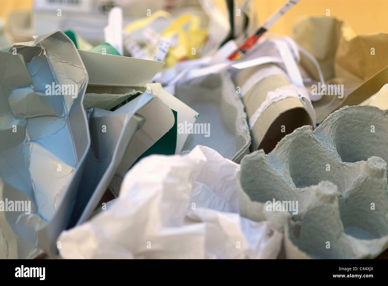 Various cardboard and paper waste with egg boxes, close-up Stock Photo ...