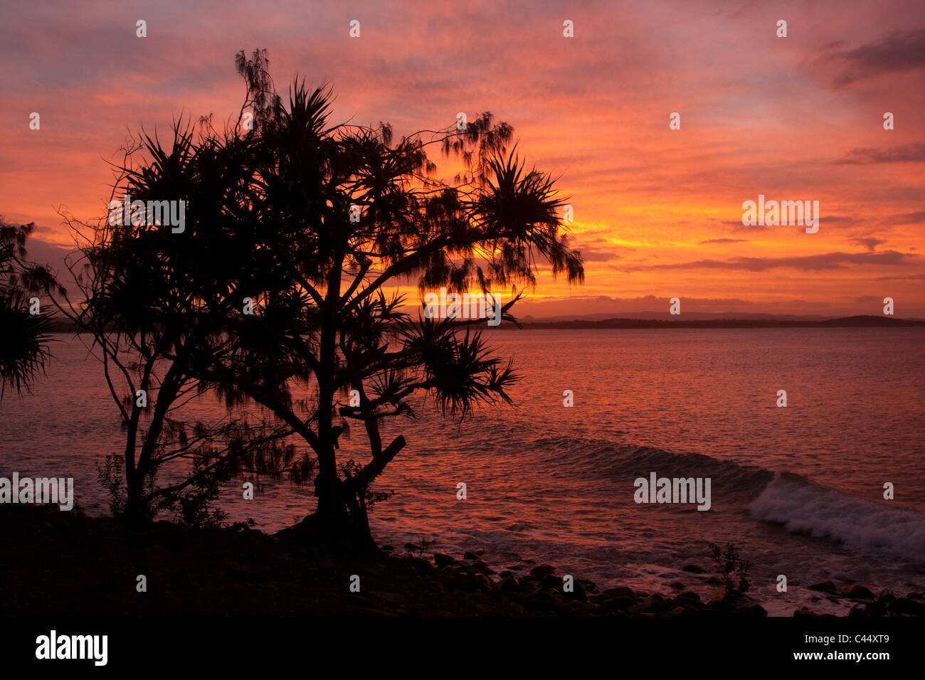 Noosa surf Sunset Stock Photo - Alamy