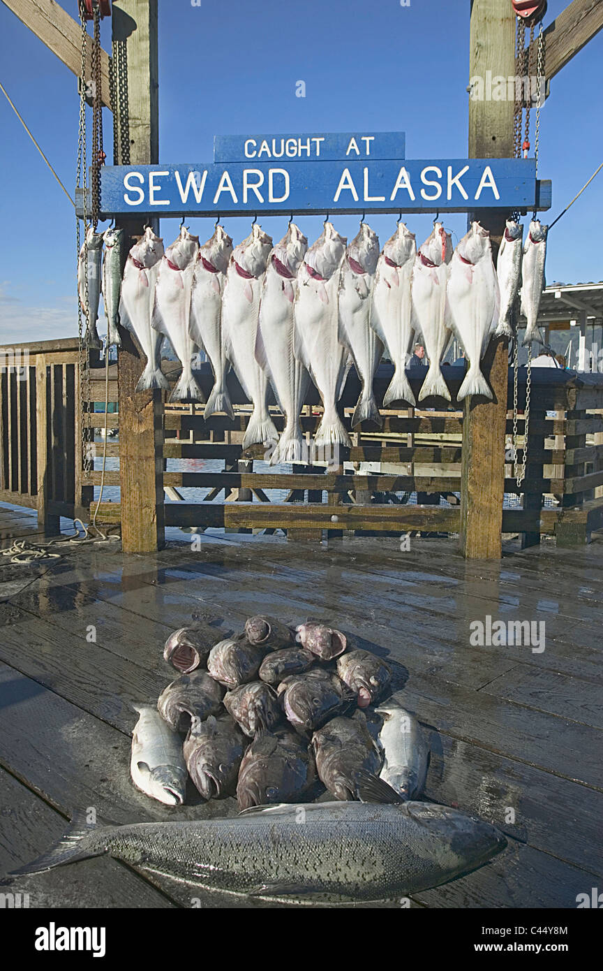 Seward alaska u s a hi-res stock photography and images - Alamy