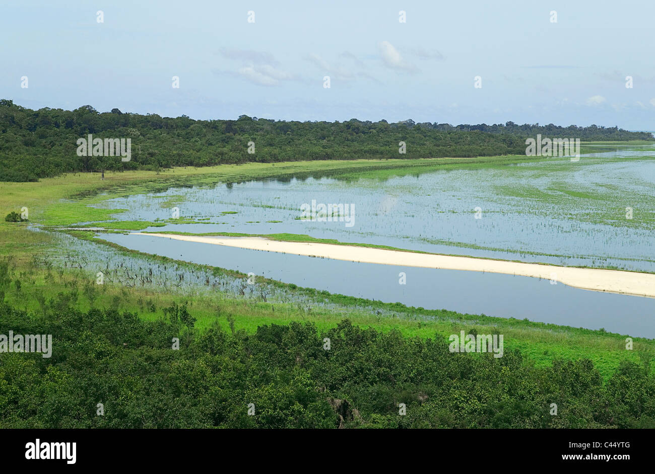 South America, Brazil, Amazonas, beach and rainforest lining lagoon ...