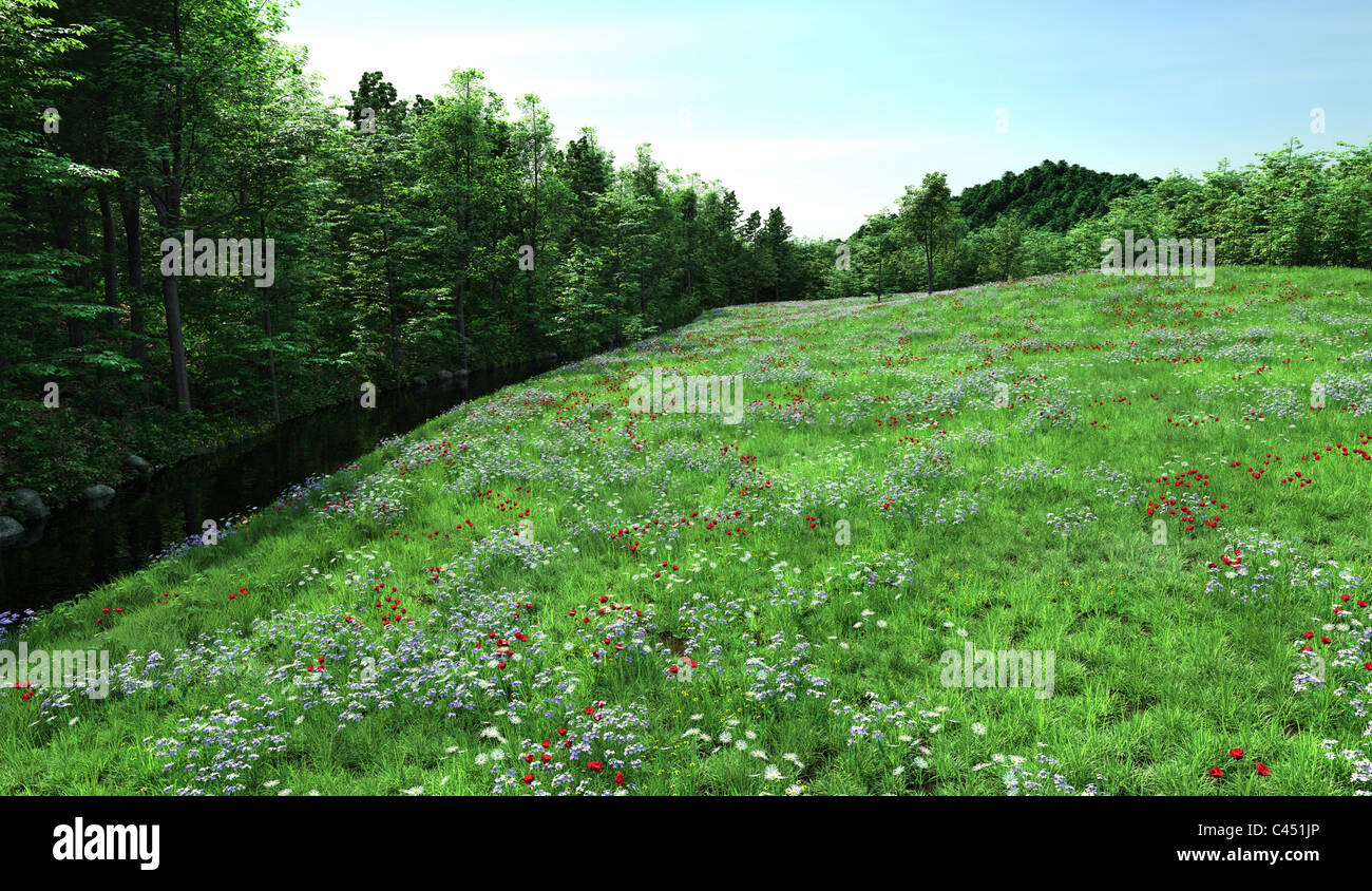 Flowering Meadow and Stream Stock Photo - Alamy