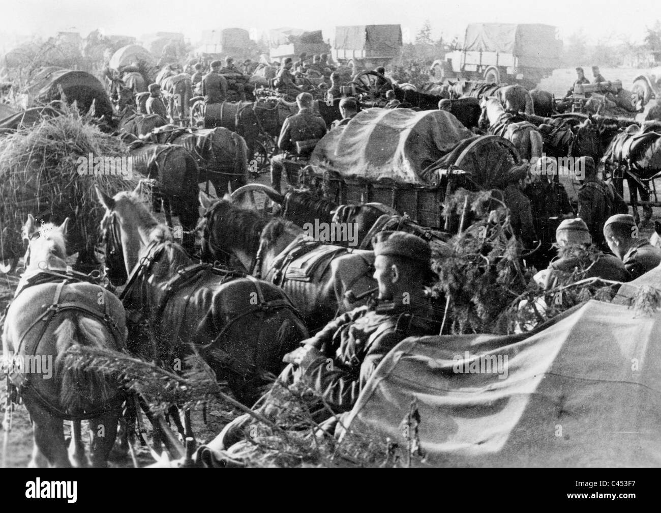 Horse-carts of a German supply column, 1942 Stock Photo - Alamy