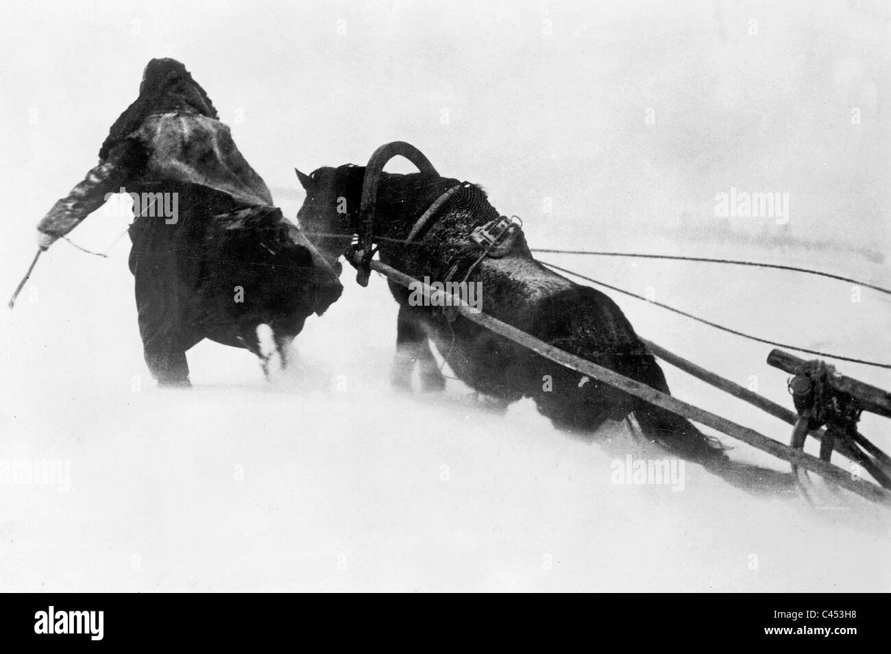Panje-horse sled in Russia, 1942 Stock Photo - Alamy