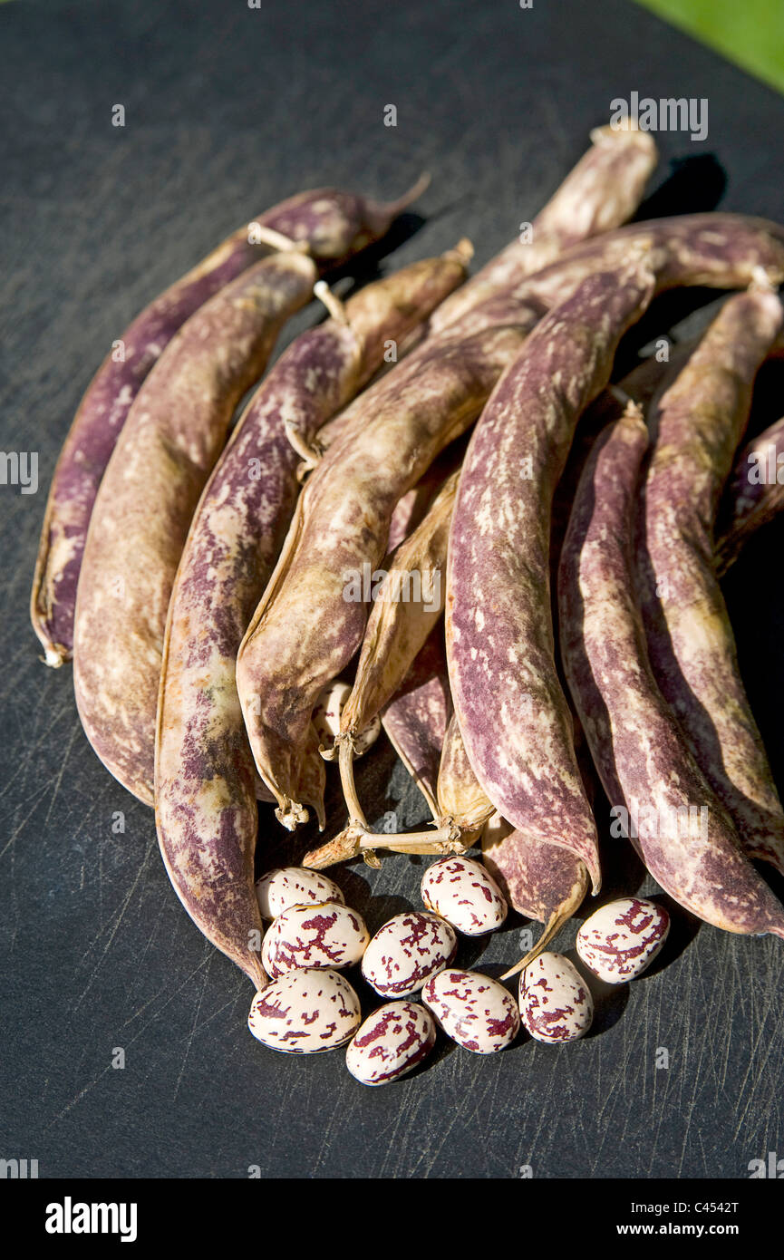 Coco beans hi-res stock photography and images - Alamy