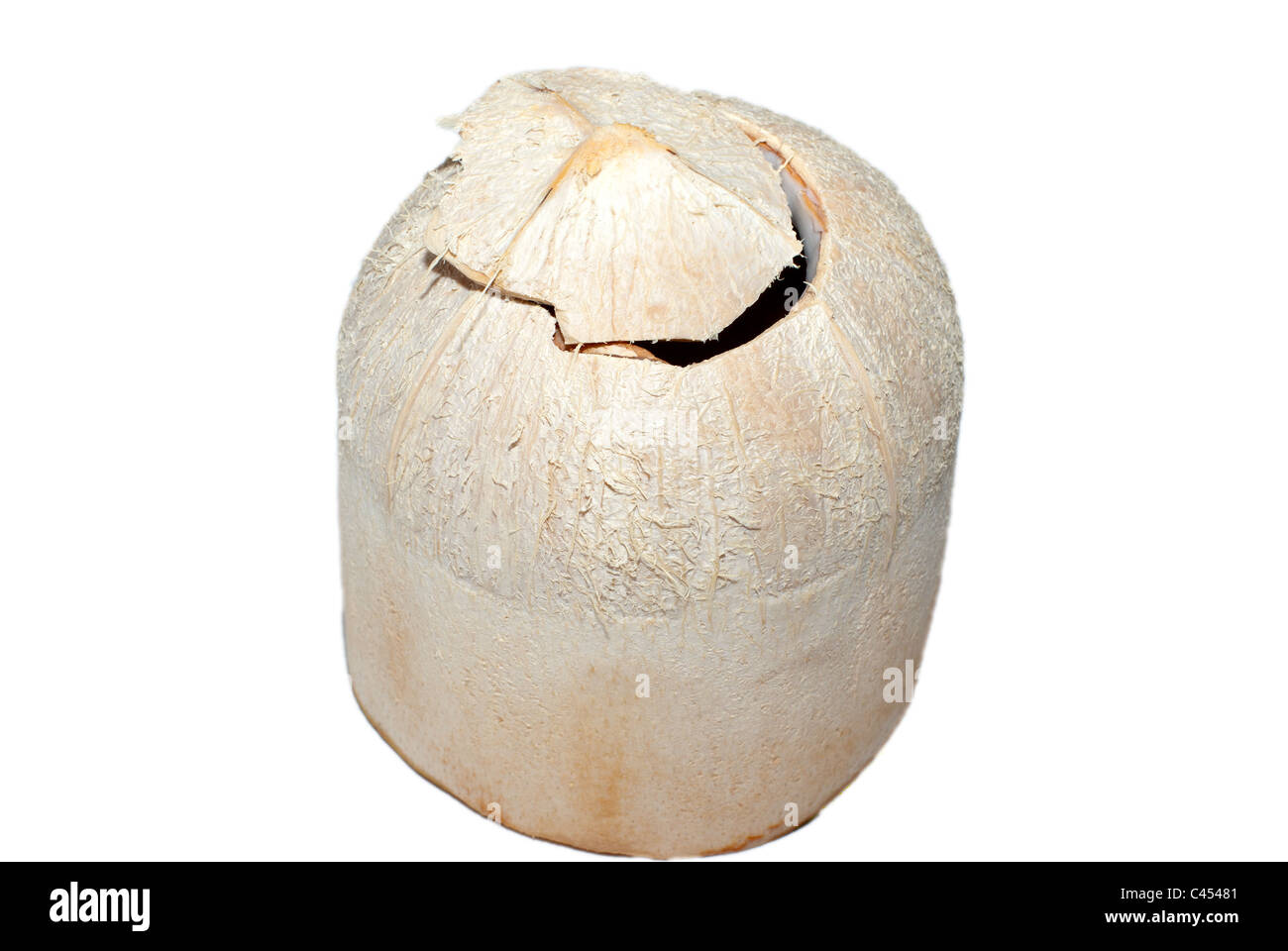 Cracked opened white coconut Stock Photo - Alamy