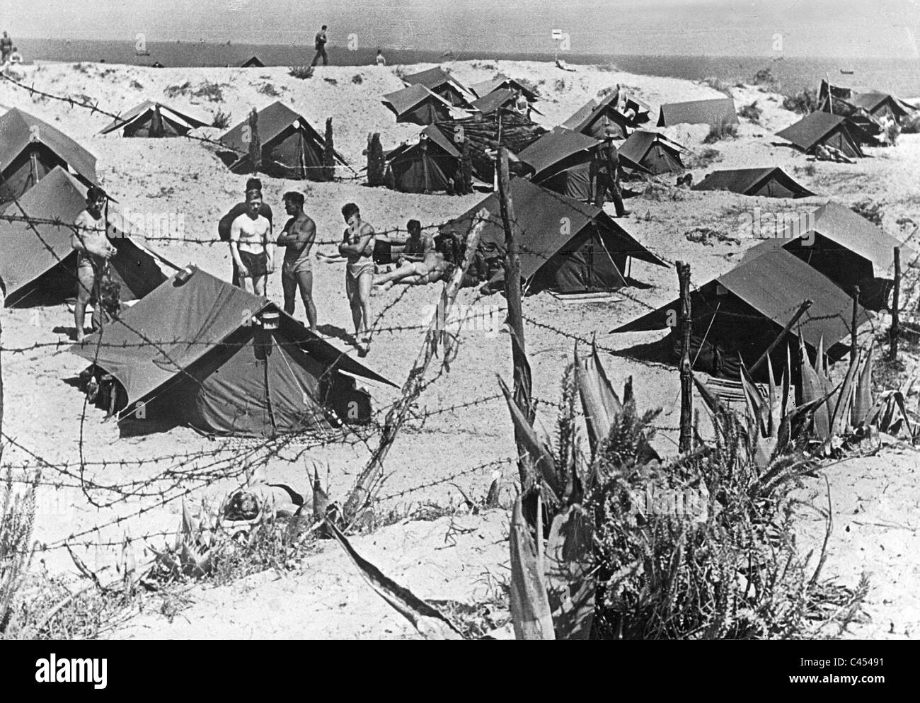 Egypt war 1942 hi-res stock photography and images - Alamy