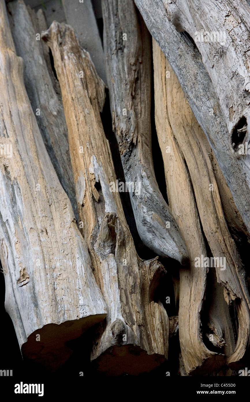 Australia, Tasmania, West Coast, Strahan, timber, close-up Stock Photo ...