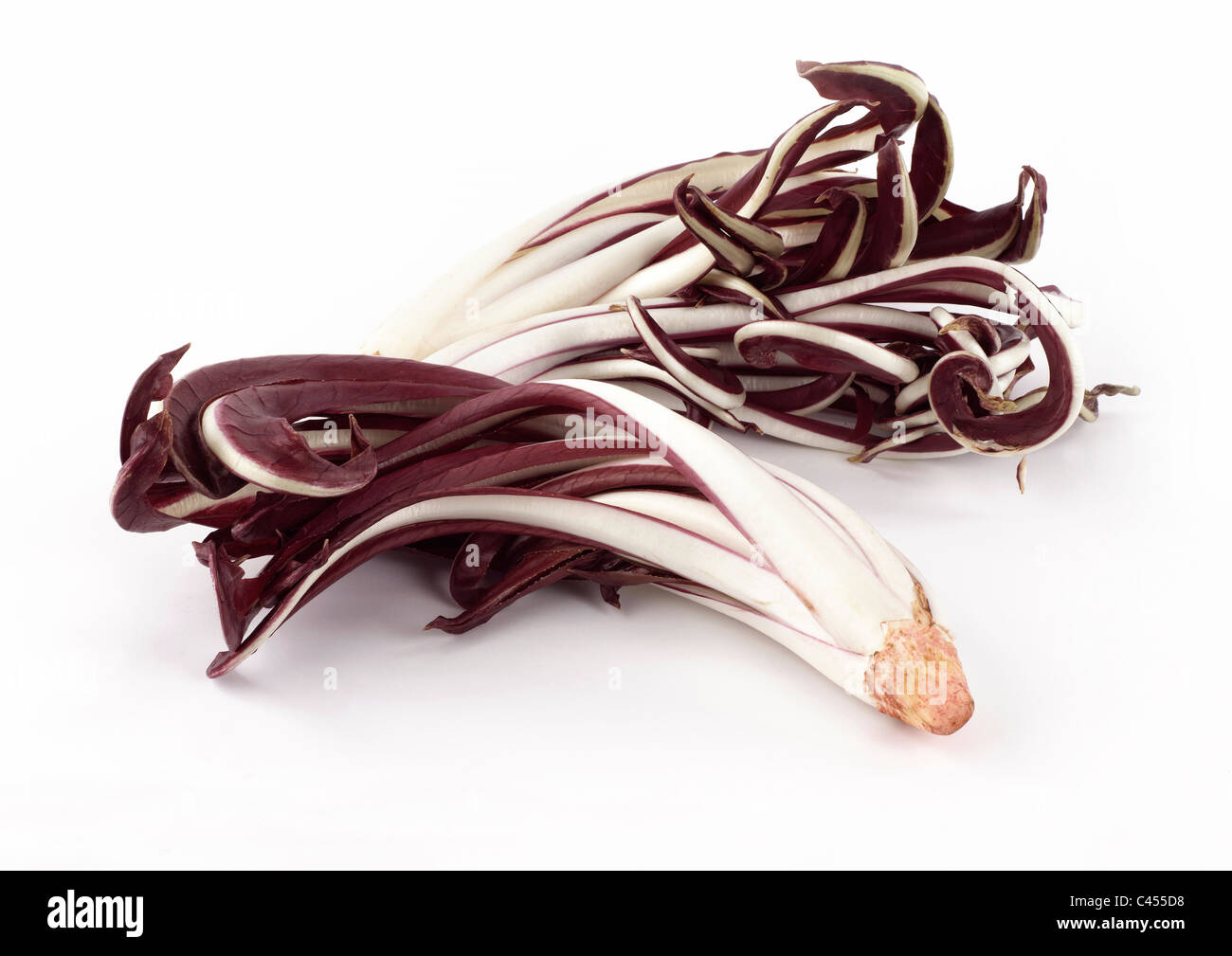 Looseleaf chicory on white background, close-up Stock Photo - Alamy