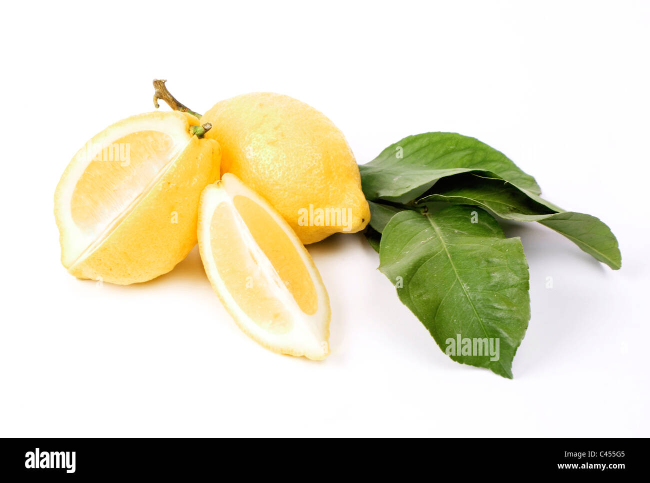 Femminello lemons on white background, close-up Stock Photo - Alamy