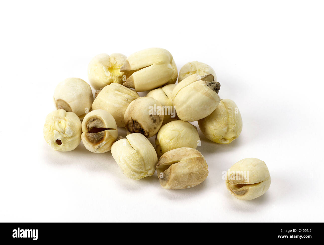 White lotus seeds on white background, close-up Stock Photo - Alamy