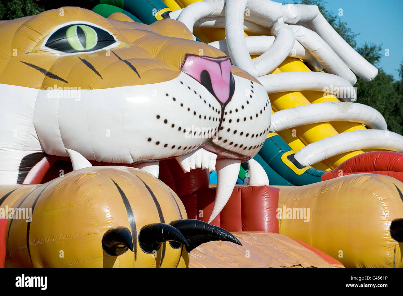 Tiger claws close up hi-res stock photography and images - Alamy