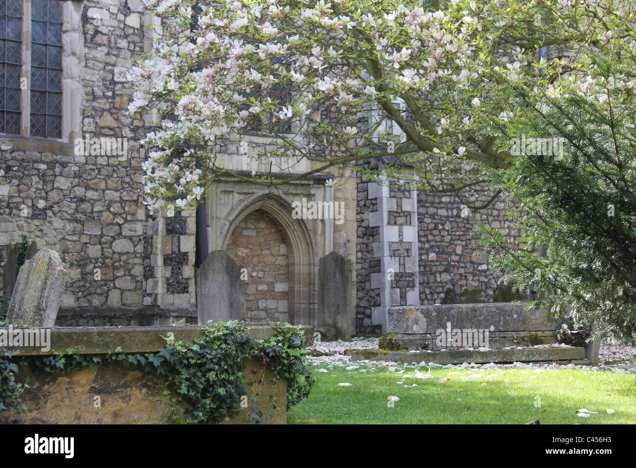 Rochester cathedral stained glass window hi-res stock photography and ...