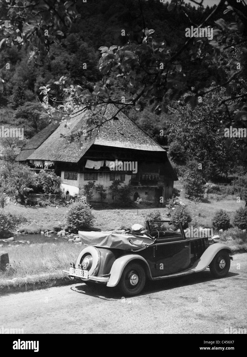 On forest road in Black and White Stock Photos & Images - Alamy