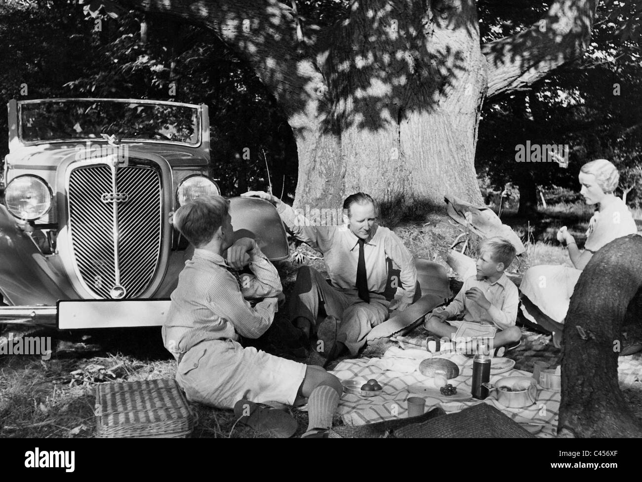 Tree car Black and White Stock Photos & Images - Alamy