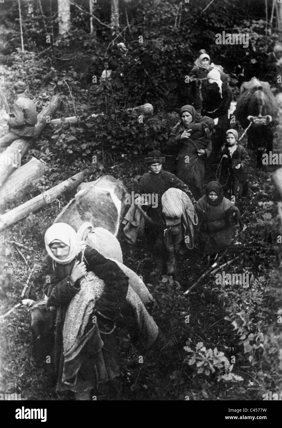 Russian peasant hi-res stock photography and images - Alamy