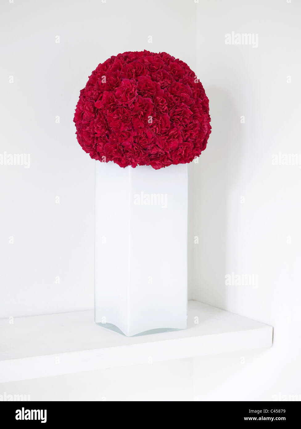Round flower heads hi-res stock photography and images - Alamy