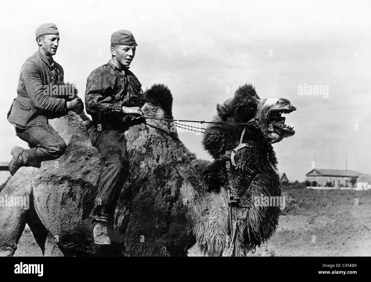 Soldiers waffen ss in southern Black and White Stock Photos & Images ...