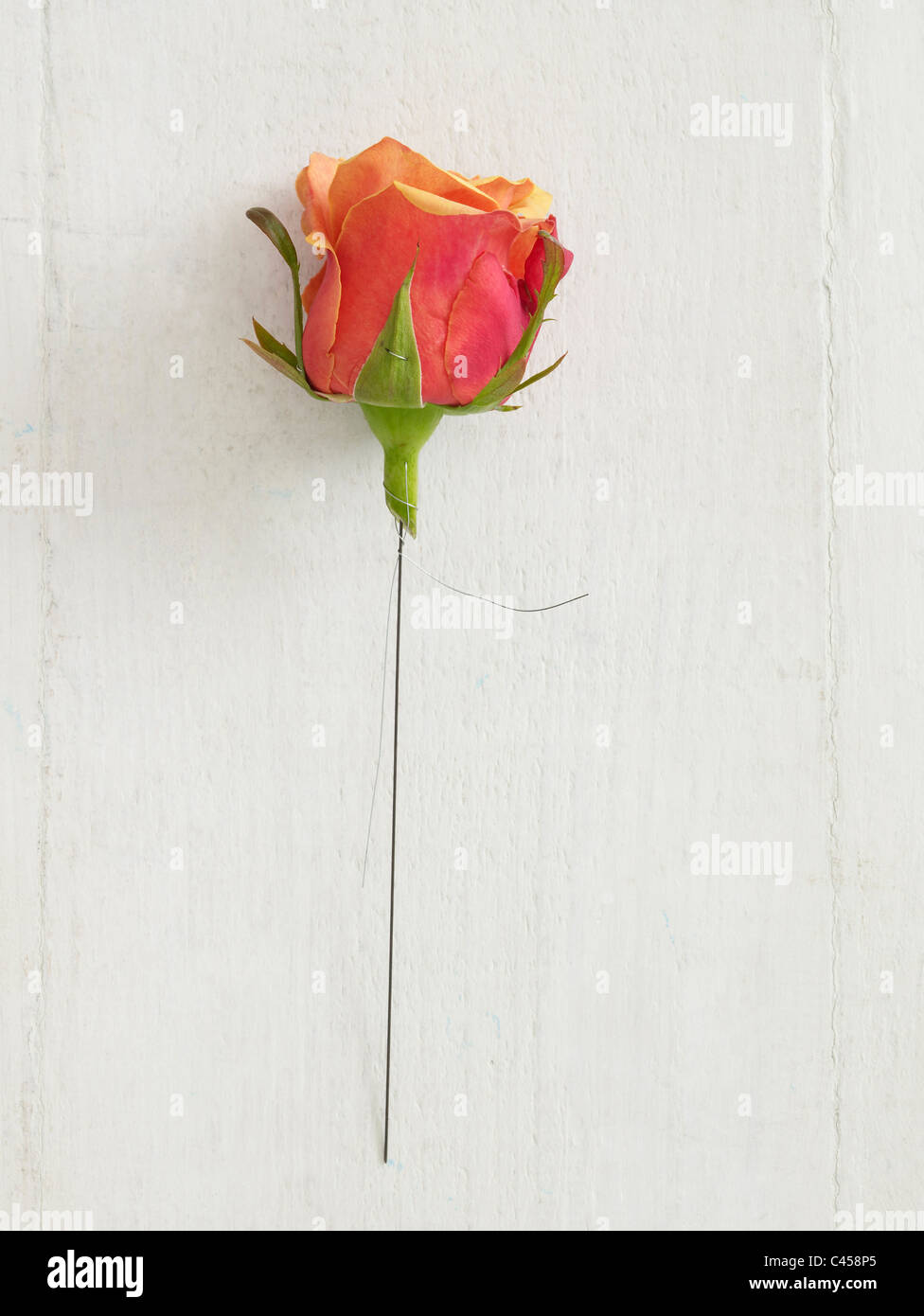 Flower wire hi-res stock photography and images - Alamy