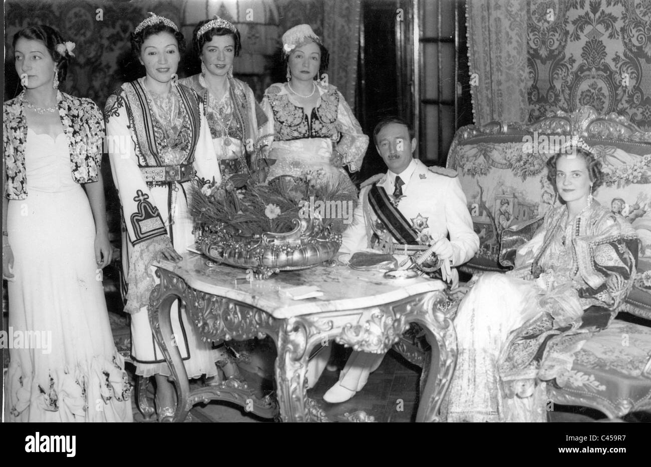 Zog hi-res stock photography and images - Alamy