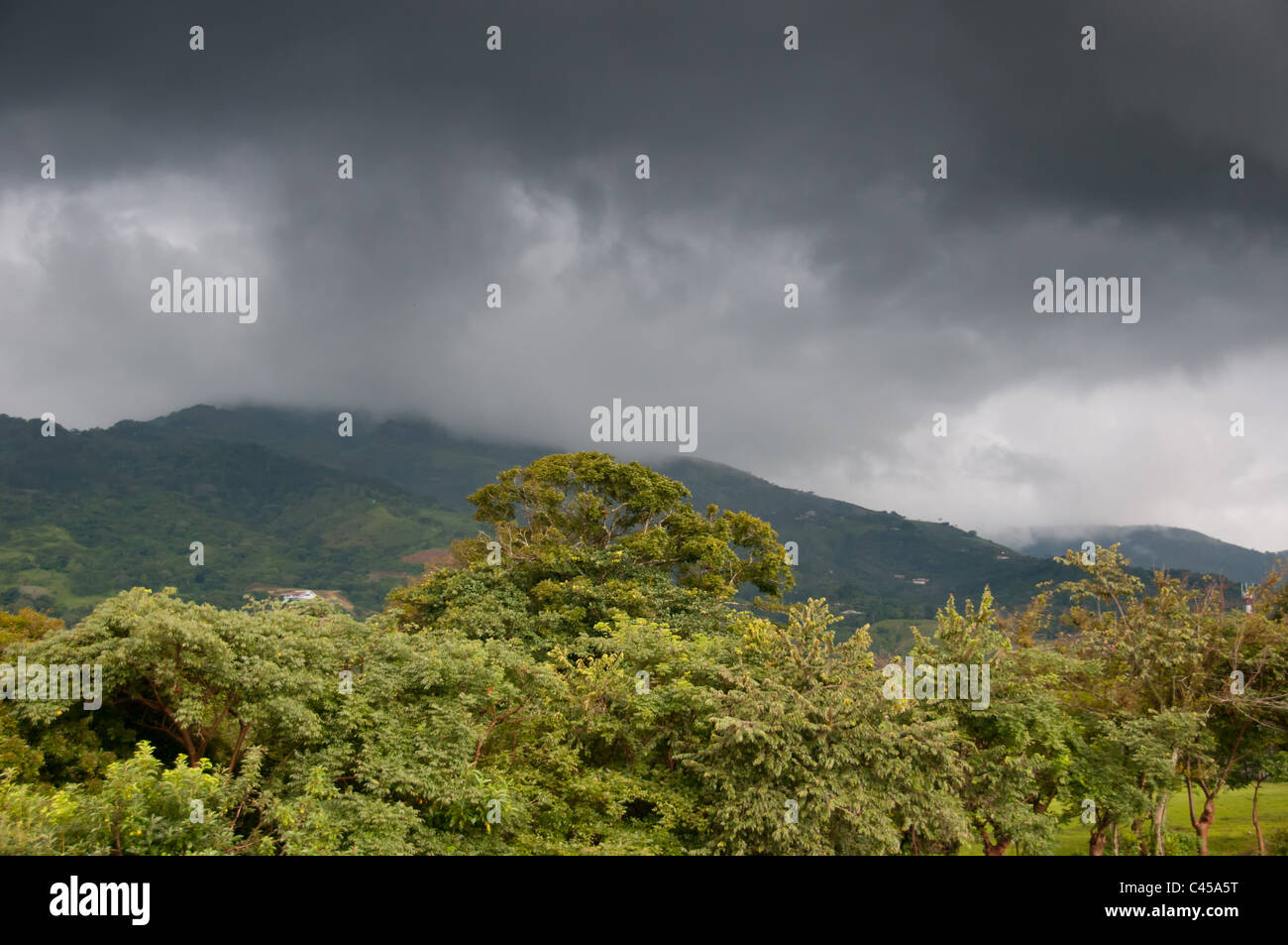 Brasil de Mora Central Valley Costa Rica Stock Photo - Alamy