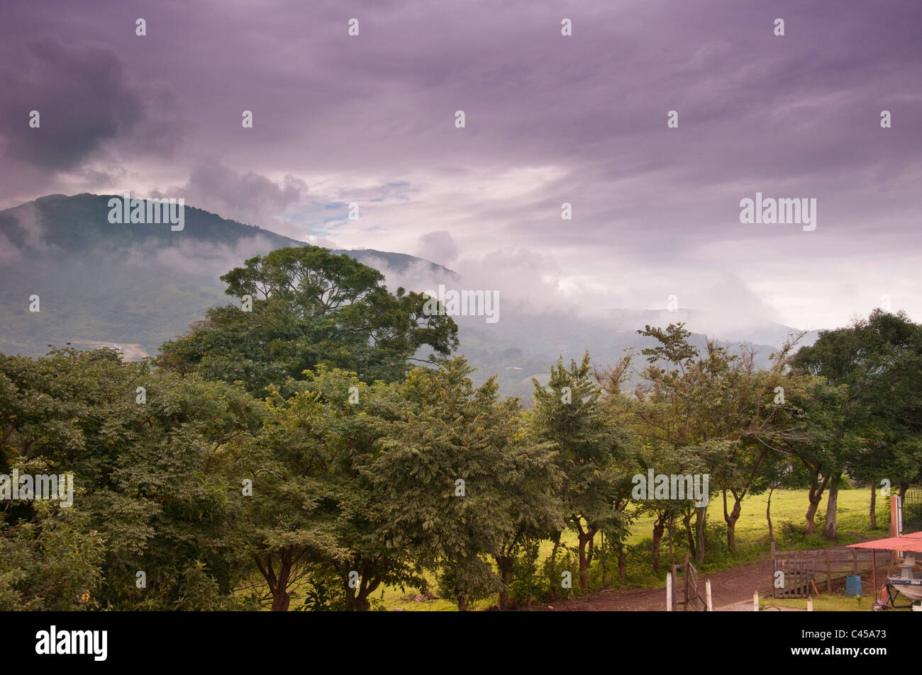 Brasil de mora hi-res stock photography and images - Alamy