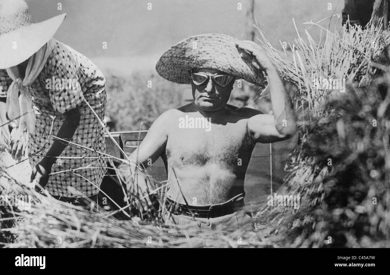 Benito Mussolini during the harvest, 1935 Stock Photo - Alamy