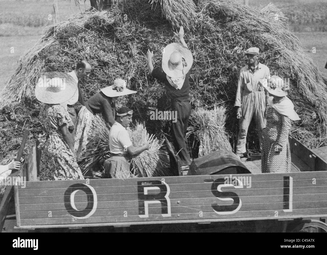 Benito mussolini harvest hi-res stock photography and images - Alamy