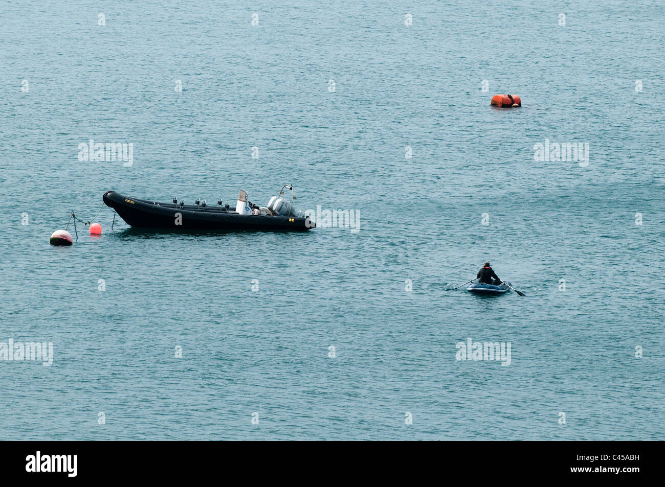Ramsey island nature reserve hi-res stock photography and images - Alamy