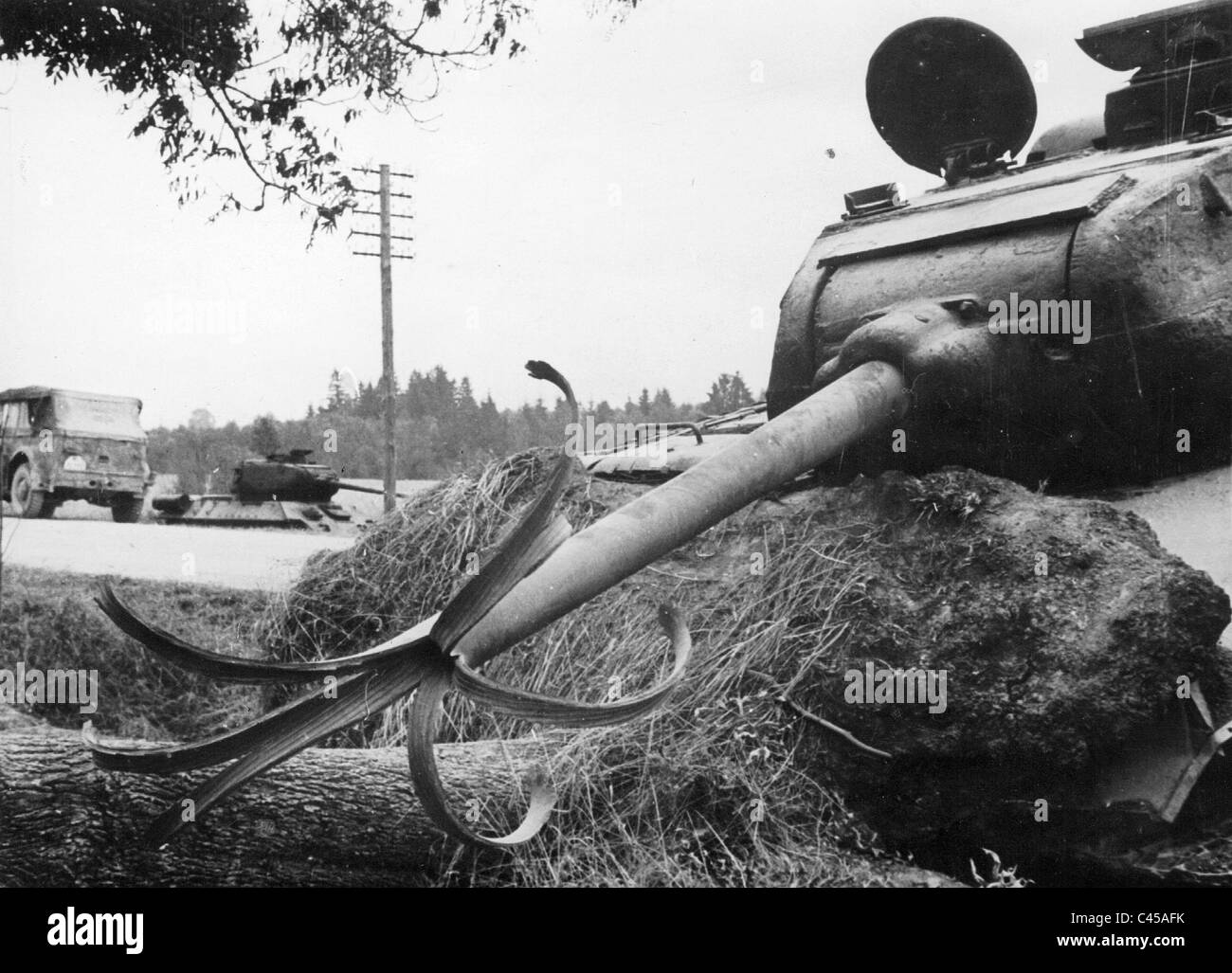 Destroyed Soviet tank on the Eastern front, 1944 Stock Photo - Alamy