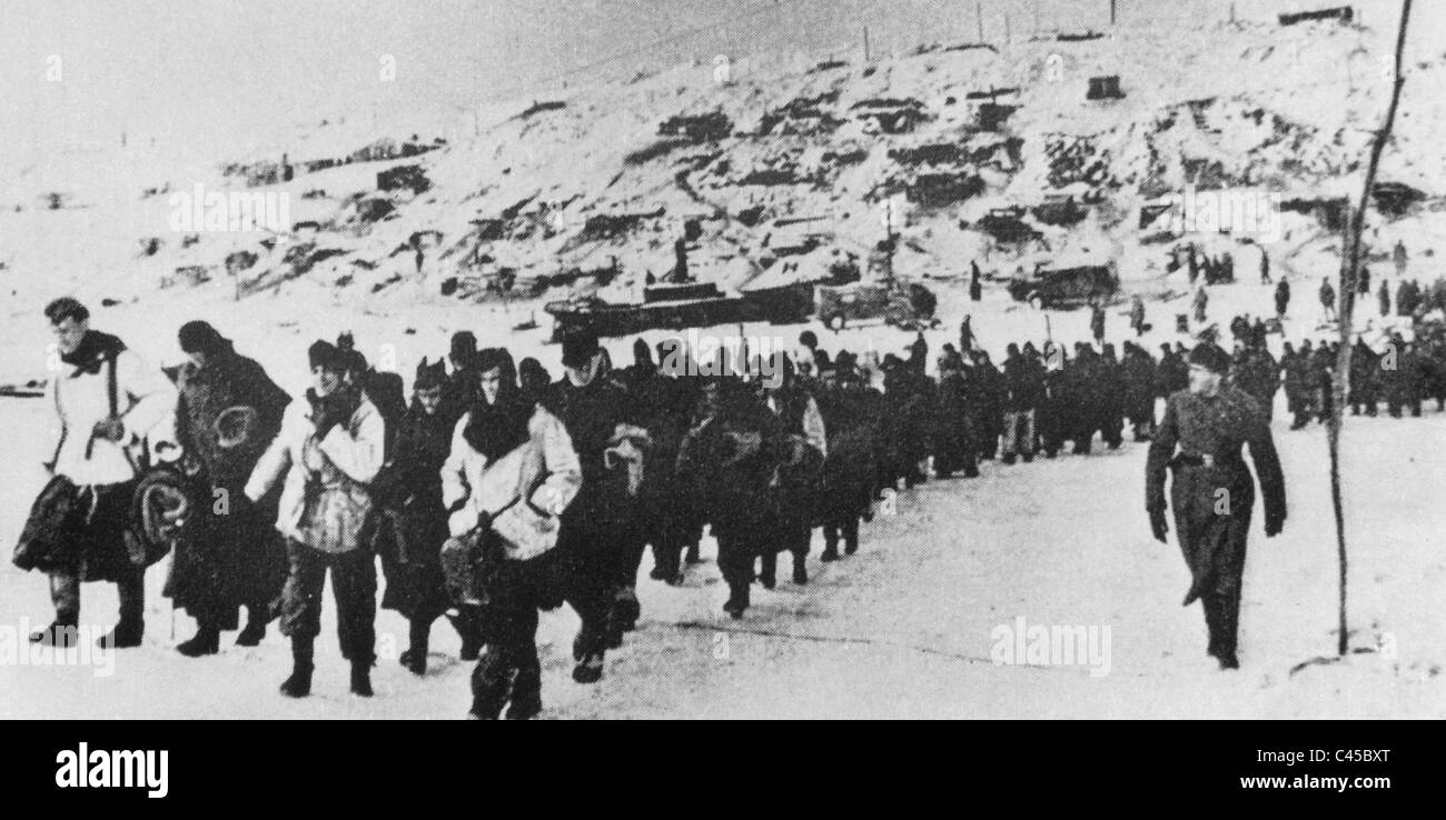 German prisoners of war after the capitulation in Stalingrad, 1943 ...