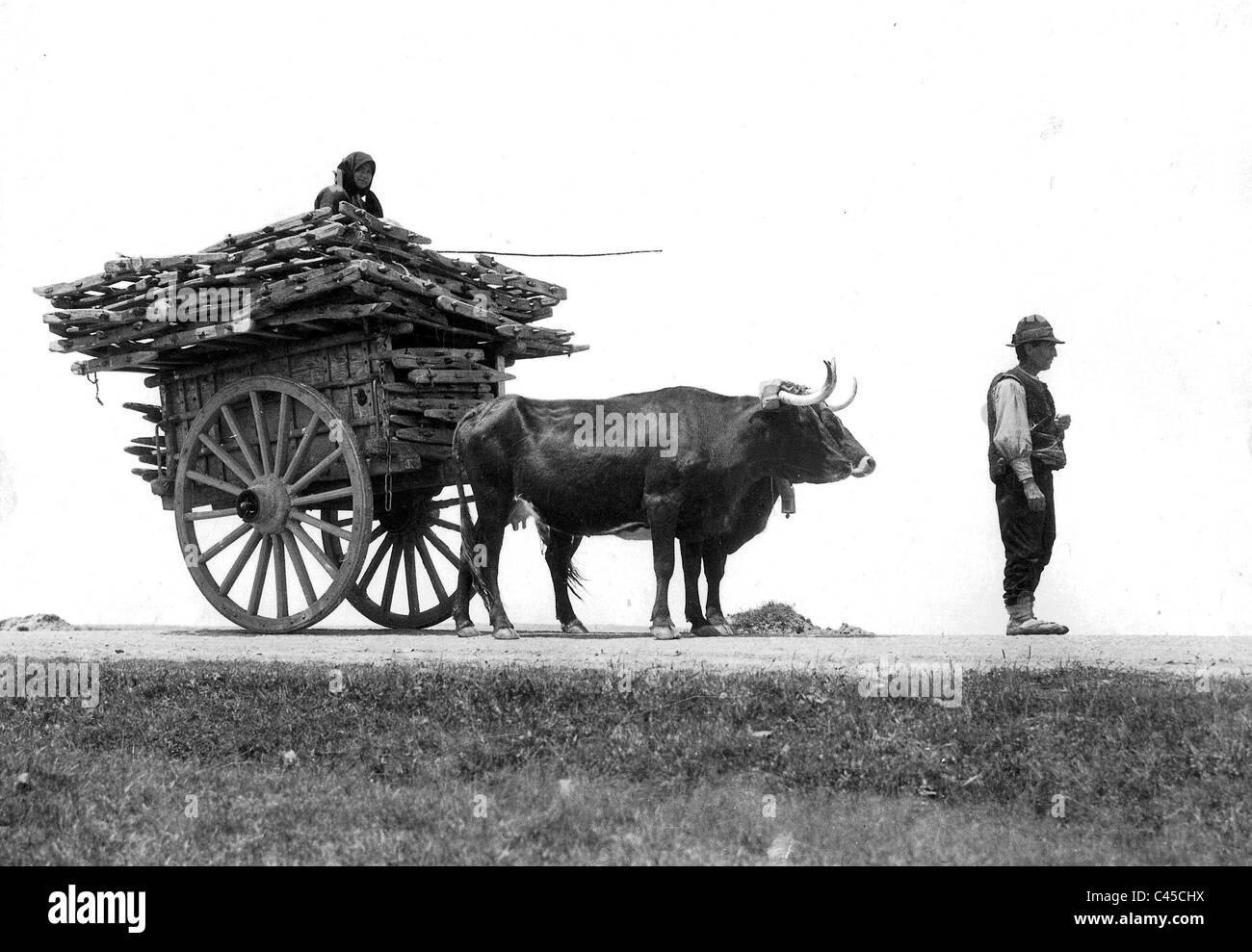 Bullock cart in Spain Stock Photo - Alamy