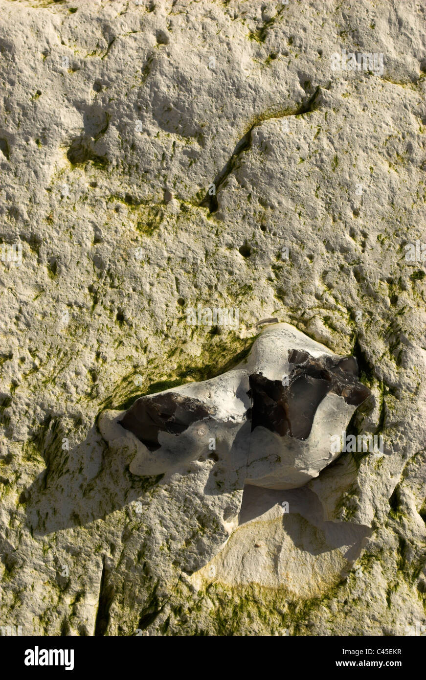 Flint embedded in chalk Stock Photo - Alamy